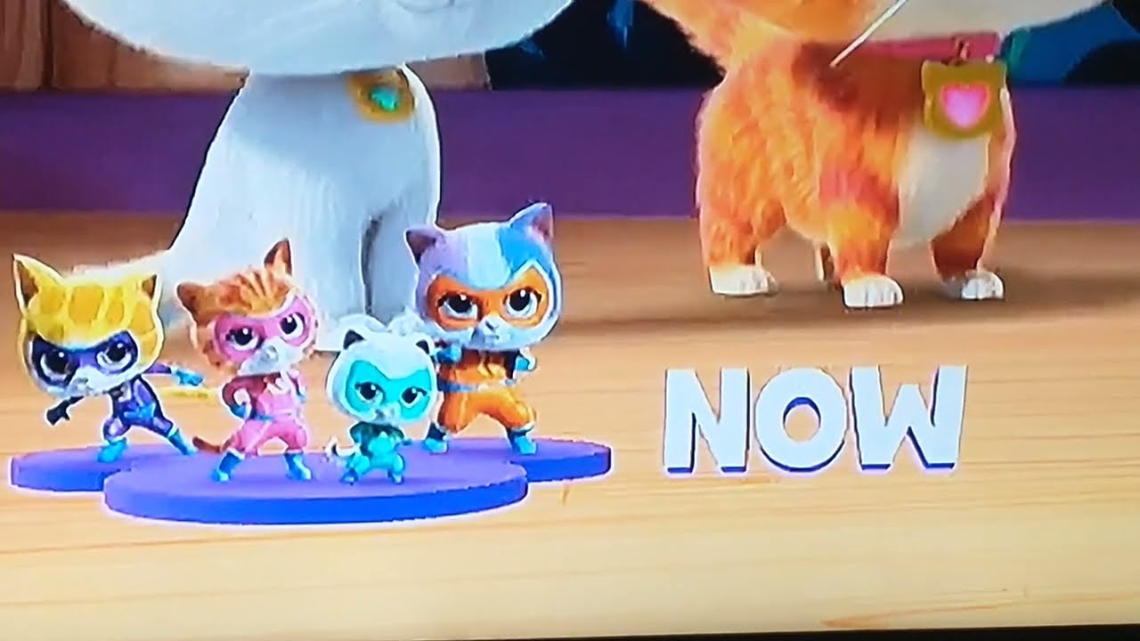 Now - SuperKitties (Screen Bug) | Disney Junior