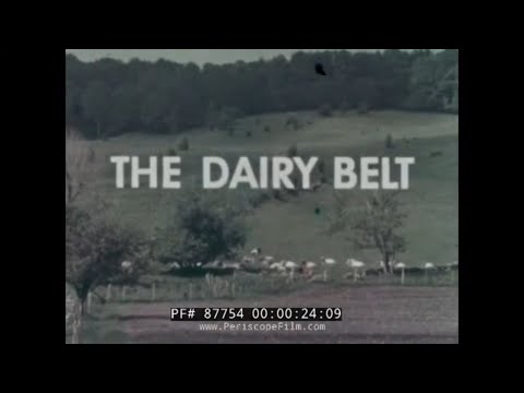 " THE DAIRY BELT " 1963 EDUCATIONAL FILM MILK, CHEESE PRODUCTION NEW ENGLAND & MIDWEST 87754