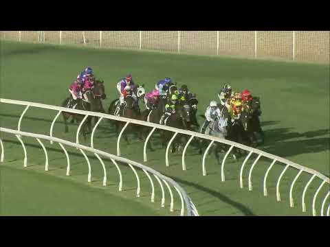Pentito - Eagle Farm Race 9