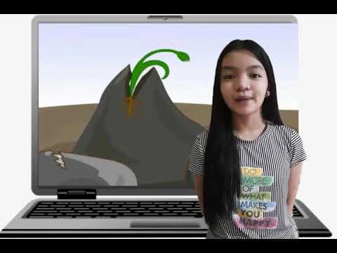 Multimedia Presentation