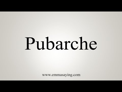 How To Say Pubarche