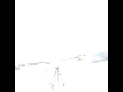Afan trails  mtb