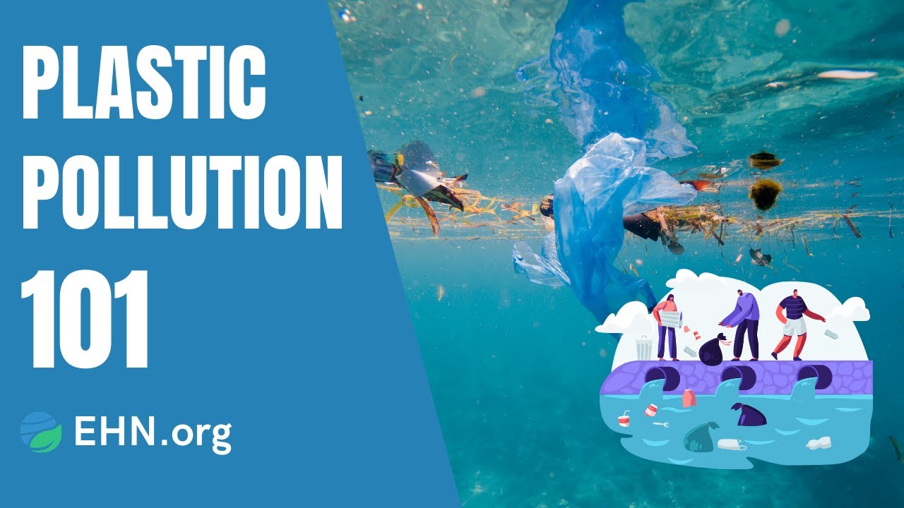 Understanding Plastic Pollution: A Comprehensive Overview | Galaxy.ai