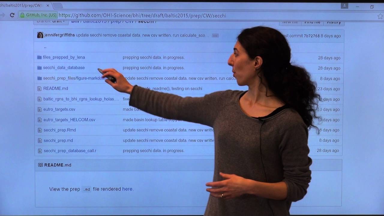 Baltic Health Index GITHUB tutorial