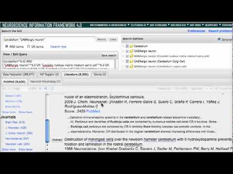 NIF 4.0 - Scientific Literature Search & Faceting