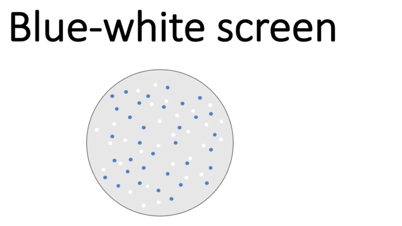 Blue-White Screen & Transformation