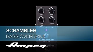 Ampeg Scrambler SC-1 - What To Know & Where To Buy | Equipboard