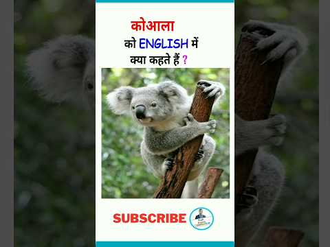 कोआला को इंग्लिश में क्या कहते हैं? Koal ki English kya hai/ koala in English / English vocabulary