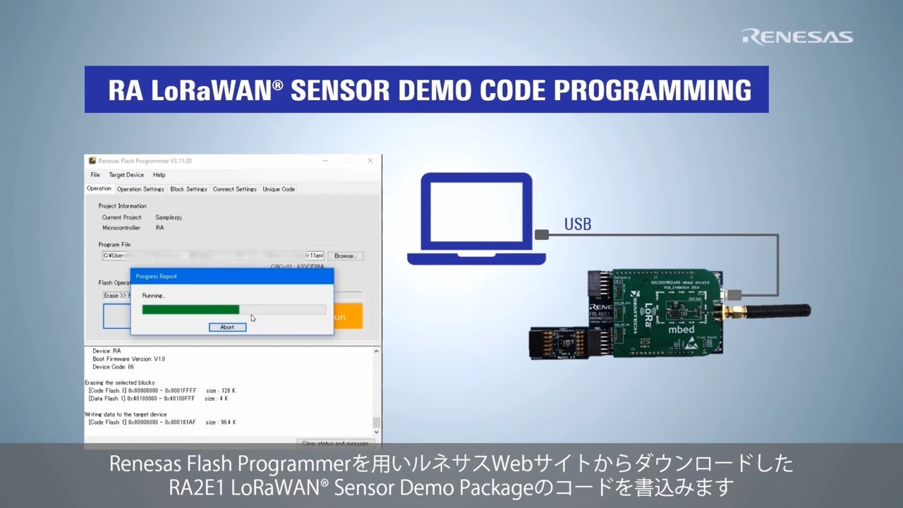 RA LoRaWAN® Sensor Demo Tutorial