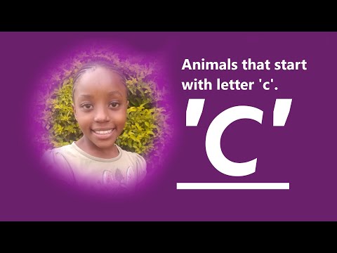 LEARN ANIMALS WORDS THAT START WITH LETTER C || NICOLES CLASS