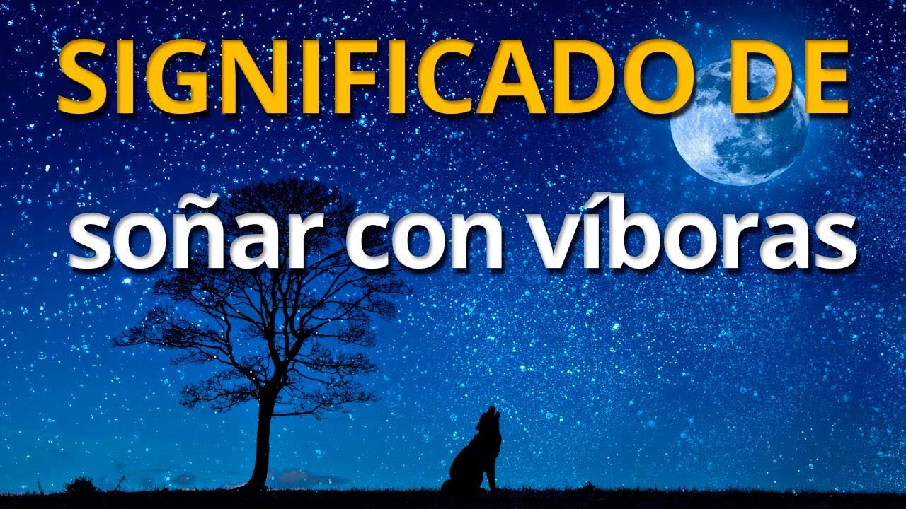 Que significa soñar con víboras 💤 Interpretación de los Sueños
