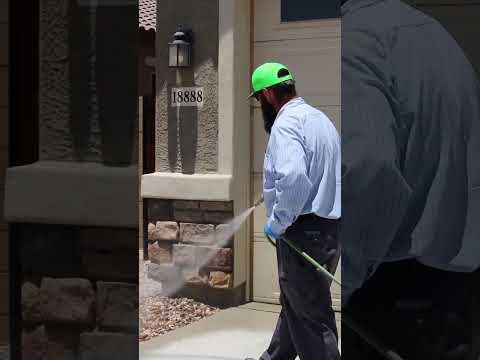 Day in the Life of a Pest Control Company!! #bugs #dayinthelife #pestcontrol #illblowup