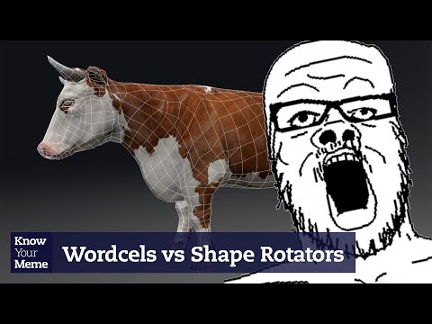 Are You a Wordcel or a Shape Rotator?