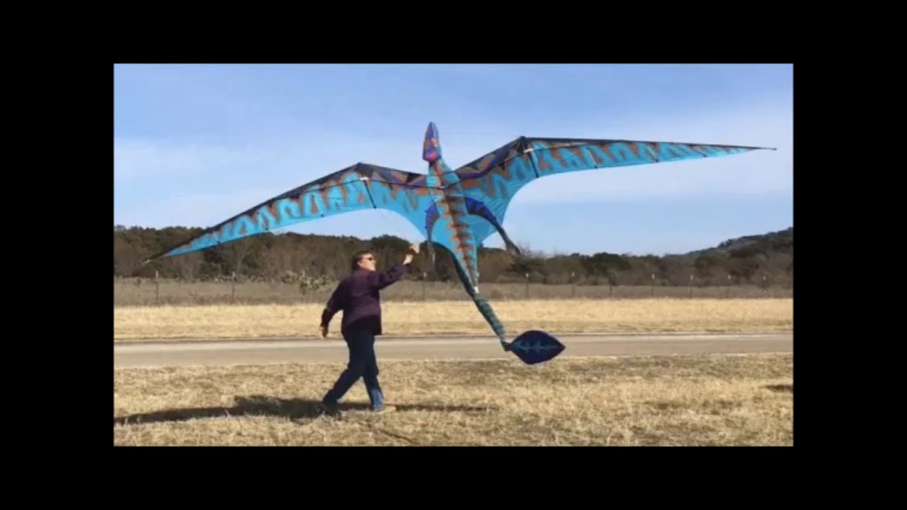 20 Foot Pterasoar by Joel Scholz