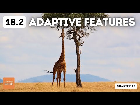 Adaptive Features - 1 Video Lecture - Biology for GCSE/IGCSE - Class 10