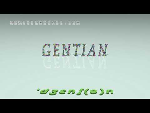 gentian - pronunciation + Examples in sentences and phrases