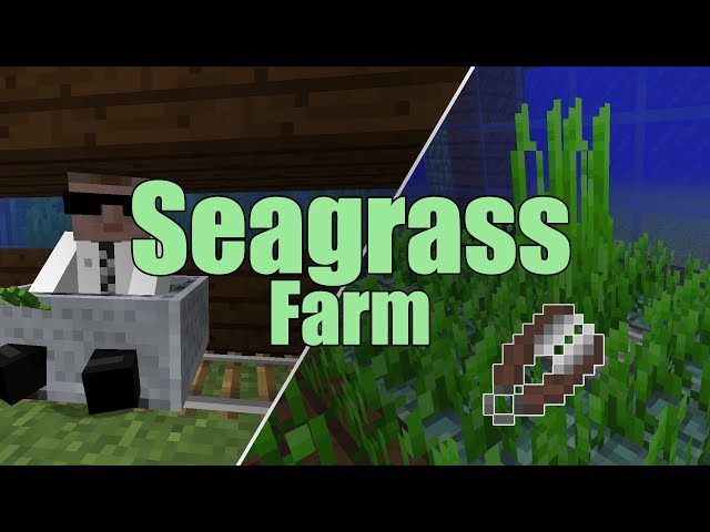 How to make a seagrass farm in Minecraft