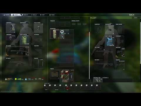 Steam Community :: Video :: eft scav looting pov 😐