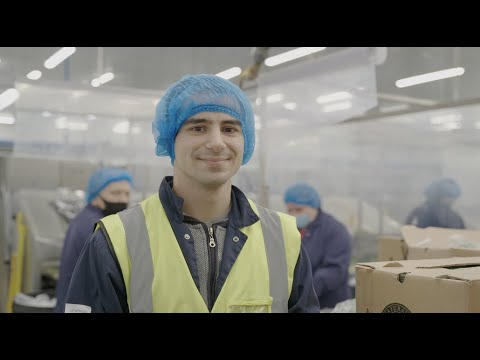 A Day In The Life Of - a vegetable packing factory