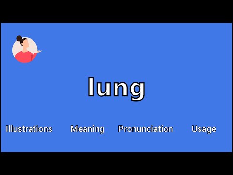 LUNG - Meaning and Pronunciation