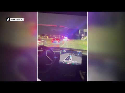 Tesla RoboTaxi hits the streets, public reacts