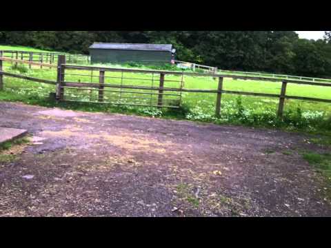 livery stable
