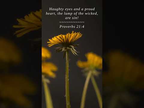 Bible | Proverbs 21:4 | Haughty eyes and a proud heart...