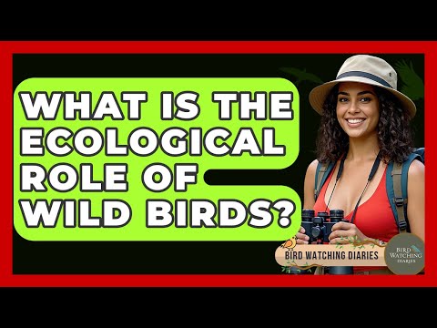 What Is The Ecological Role Of Wild Birds? - Bird Watching Diaries