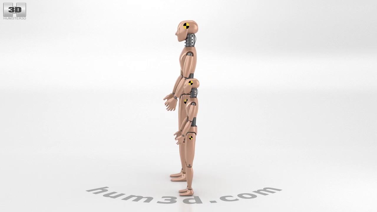 Crash Test Dummy 3D model by 3DModels.org