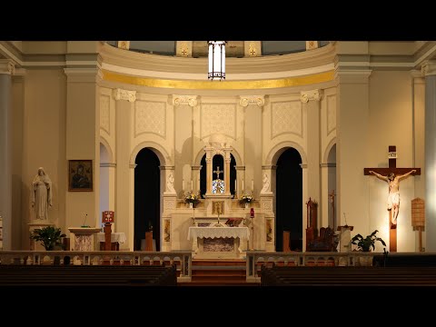 Solemnity of the Nativity of Saint John the Baptist