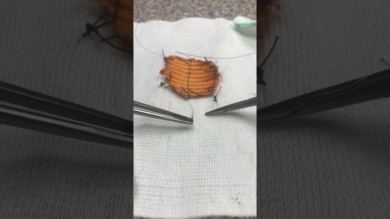 Cardiothoracic Surgery Simulations - Exercise 2