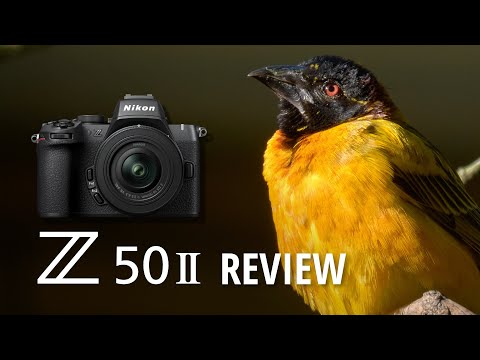 Nikon Z50 II vs Z50: Explaining differences (1784)