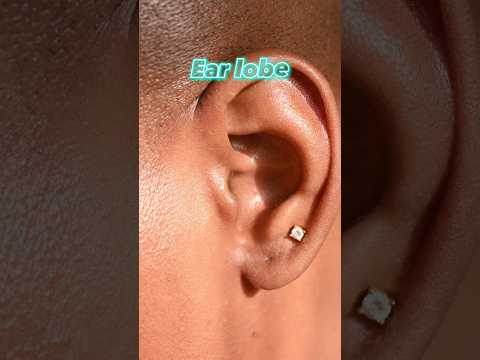 EAR LOBE | MEDICAL DEFINITION VOCABULARY TERMINOLOGY