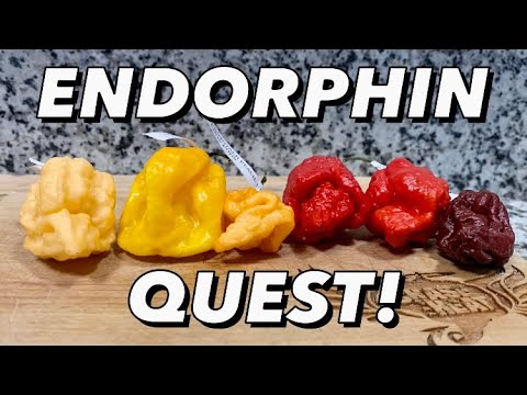 Chasing an ENDORPHIN DUMP! Who wants to watch?! Thank you DEATHridge + Pepper Poppers! Let's go!