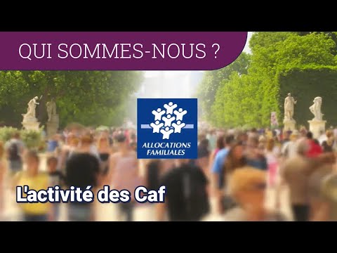 Tout savoir sur l'activité des Caf