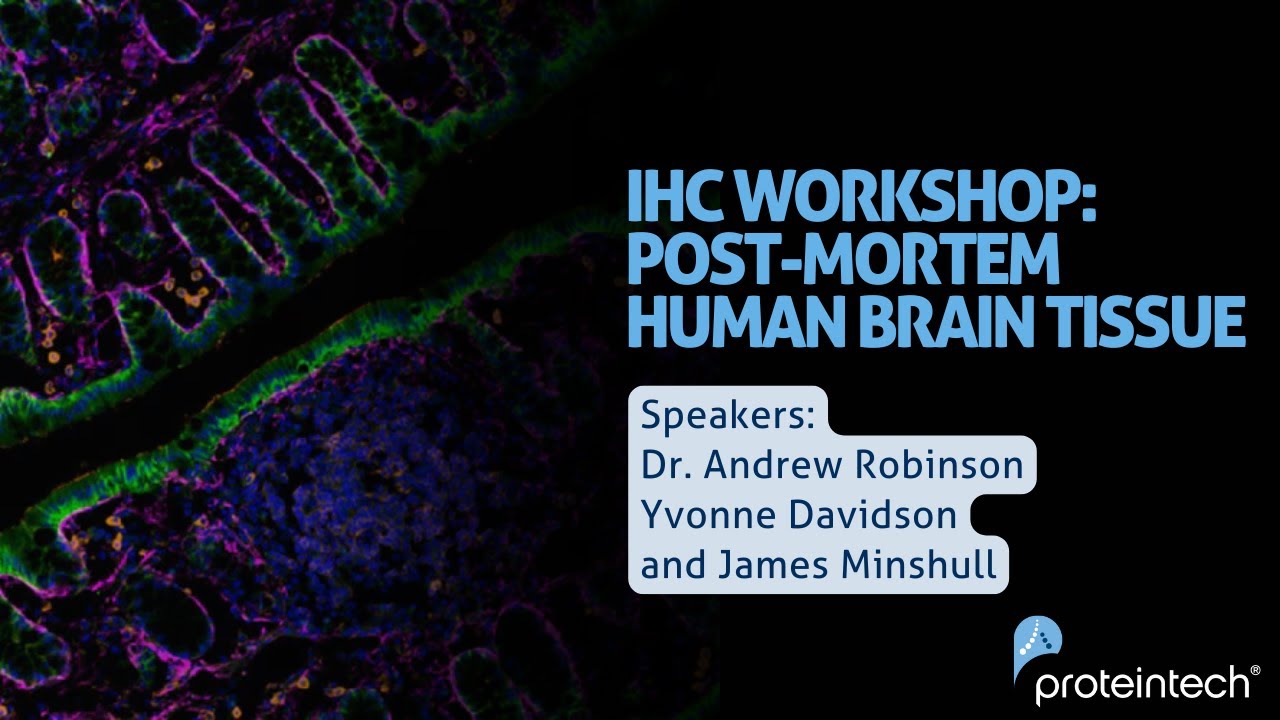 IHC Workshop : Post-mortem human brain tissue