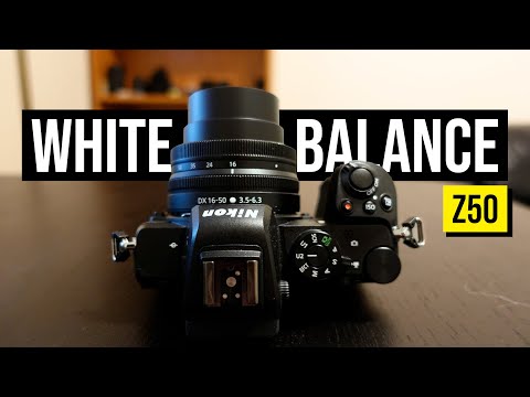 Nikon Z50: Custom white balance (1634)