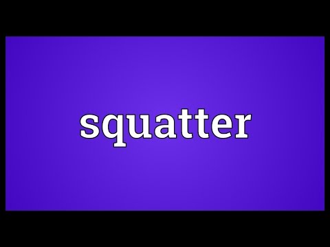 Squatter Meaning