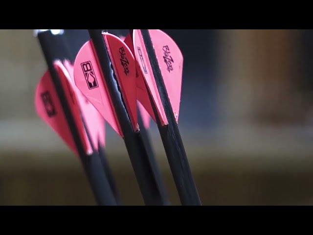 Shot & Shot - Tiro Deportivo, Rest & Bar