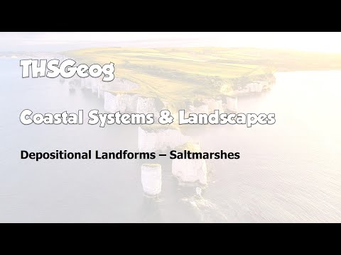 Coastal Systems and Landscapes - Saltmarshes