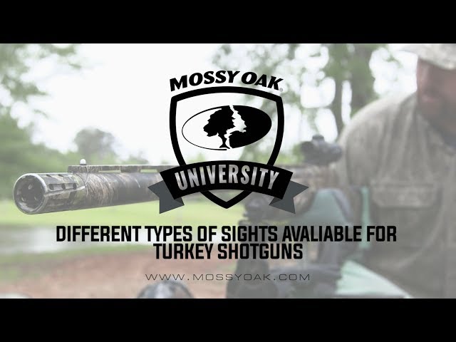 Turkey Shotgun Pattern