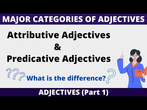 Attributive Adjectives and Predicative Adjectives
