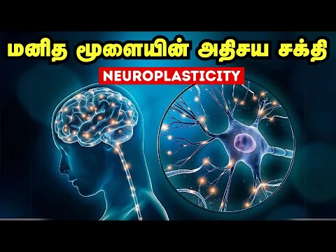 மனித மூளையின் அதிசய சக்தி | Neuroplasticity | Brain's Super Power In Tamil