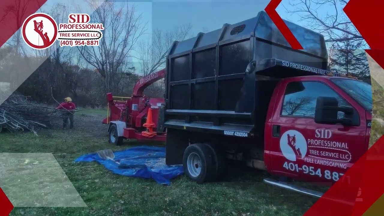 24/7 Tree Removal in Rhode Island | Emergency Services