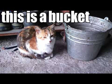 Steam Community :: Video :: This is a Bucket