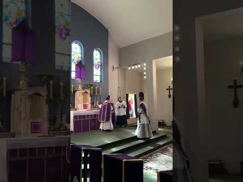 Palm Sunday - Deacon receives blessing before Gospel of the Palms #shorts