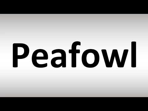 How to Pronounce Peafowl