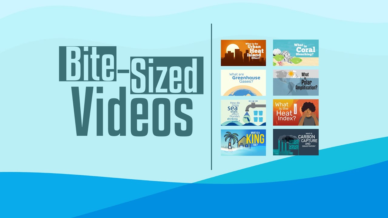 The Invading Sea Explainer Videos