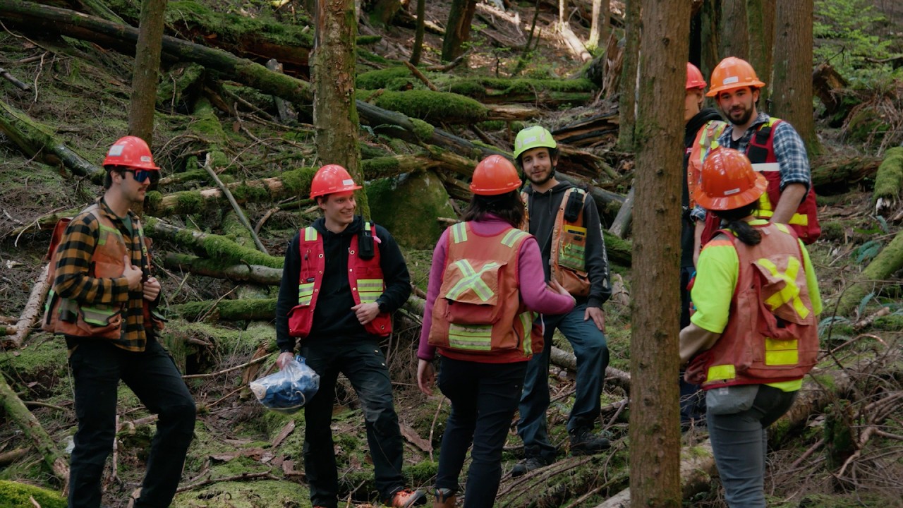 Master of Sustainable Forest Management (MSFM) at UBC | Careers, Connections & Global Impact
