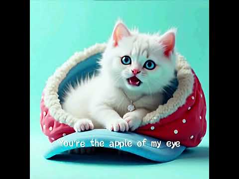 This Singing Kitty Is Too Adorable To Miss